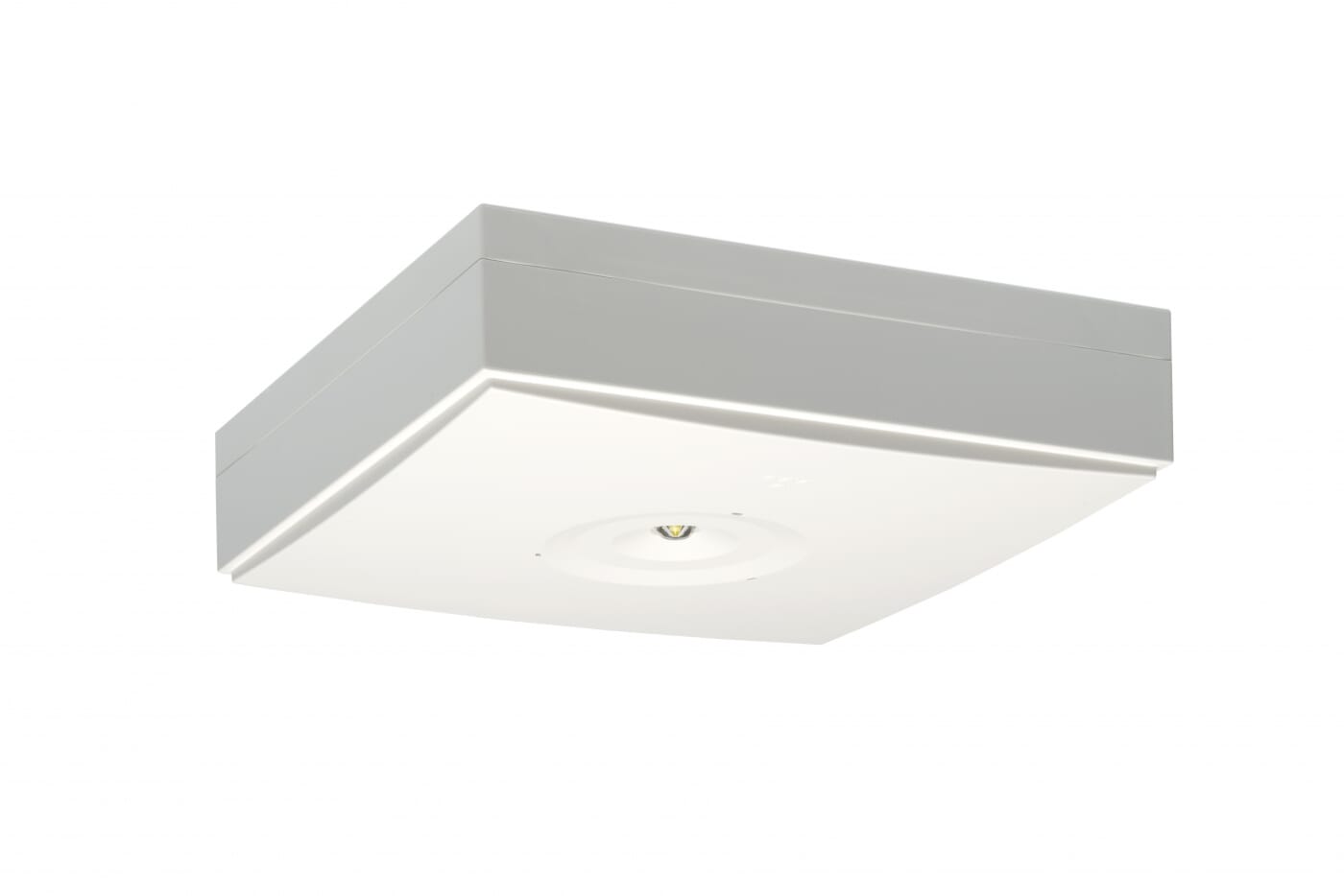 Ledelys TW ZoneSpot, 3W LED, T-komm, m/kond., 230V - Alfa Brannvern